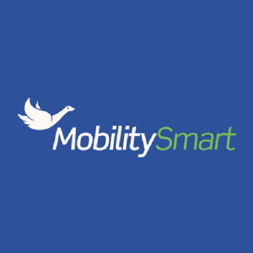 Unleashing Independence: The Multitude of Benefits of Portable Mobility ...