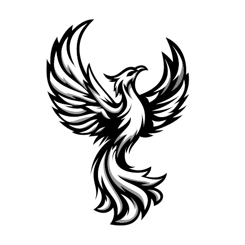 Phoenix Set’24. the11th_set | by Ayo Akano | Aug, 2024 | Medium