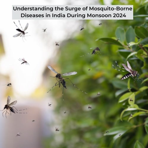 Understanding the Surge of Mosquito-Borne Diseases in India During ...