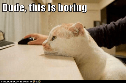 The story of the boring side of business. | by Oleksandra Zubal | Medium