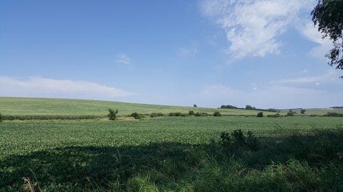 Soybeans & Saying Goodbye in Nebraska | by Jamie Duque | Medium