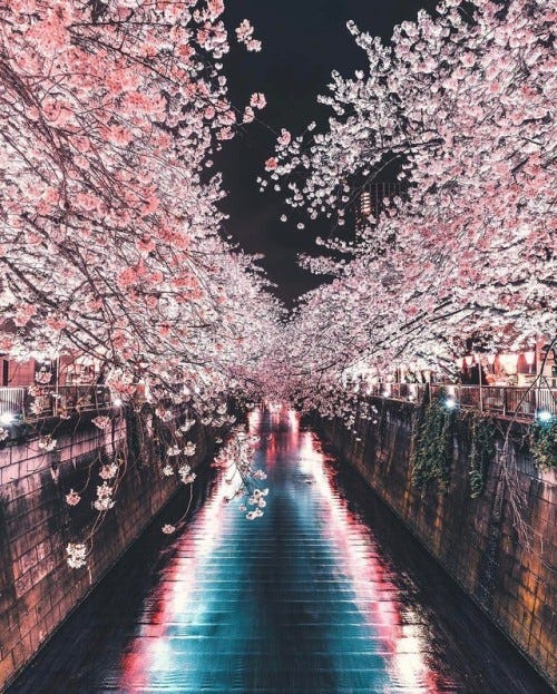 Patience: My Soul Journey. Have you ever heard of the saying… | by ...