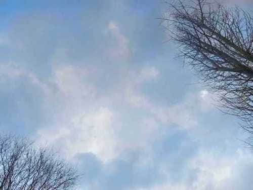 Tim Shapiro Advice congregations | The Neurons of Heaven