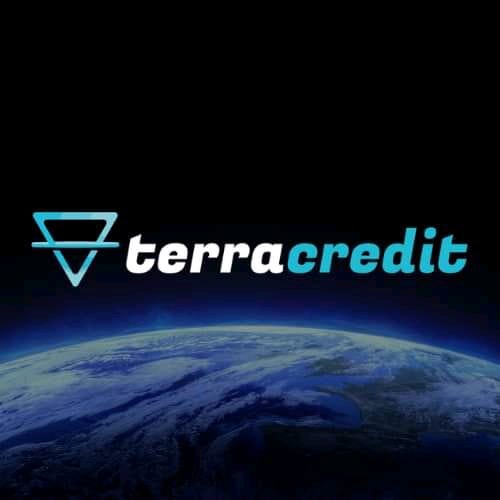 TERRA CREDIT: DIGITAL PAYMENT SOLUTION USING PROOF OF STAKE | by Ubong ...