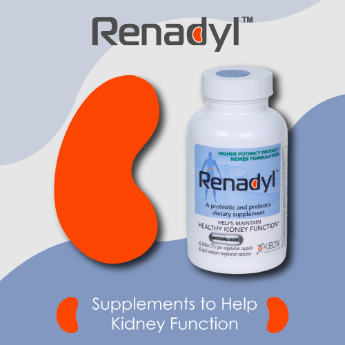 Renadyl™ — Kidney Supplements. supplements to help kidney… | by ...