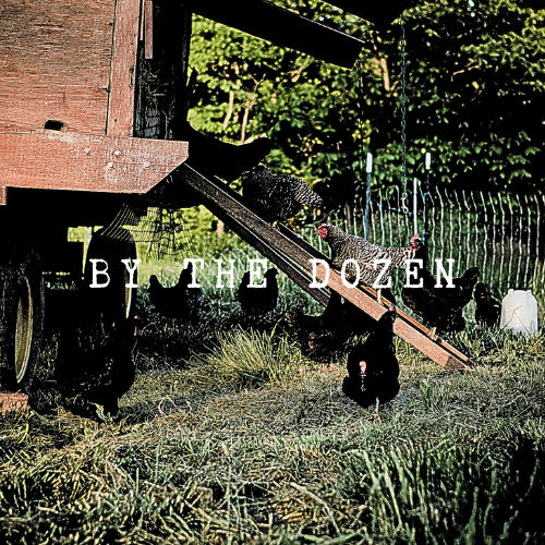 BY THE DOZEN - David Pierce Jones - Medium