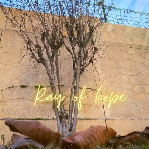THE FADED TREE. Imagine a tree that once stood tall and… | by Inara's ...
