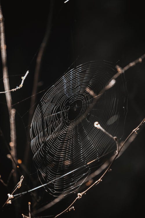 Moon Spun. A poem about light exposing shadows | by Sydney J. Shipp | a ...