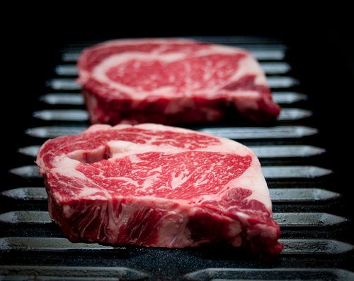 Modern Meadow Dapat Membuat Daging Potong Dengan 3D Printing | by Fahad ...