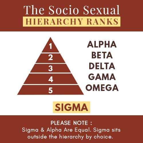 From Alpha To Omega What Is Your Socio Sexual Hierarchy Rank By The