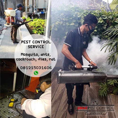 081215031606 — Jasa Pest Control Pererenan | by Dika Saputra | Medium