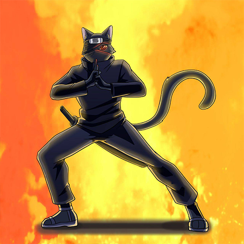 Well Hello Ninja Cat …. Introducing Ninja Cat ($NC) — The… | by Ninja ...