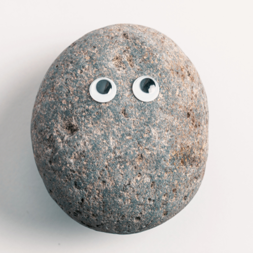The Incredible Story of Pet Rocks | by Clifford Jones | Medium
