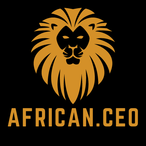 African CEO Franchise License Review: A Comprehensive Guide to Building ...