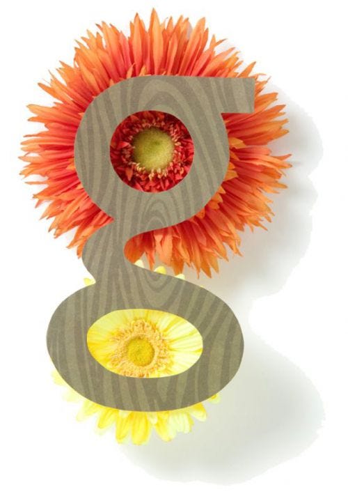 The stunning collage collections by Ann Field will blow your mind ...