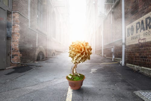 The 4 Causes that Contribute to Poor Investment Decisions | by Byron ...