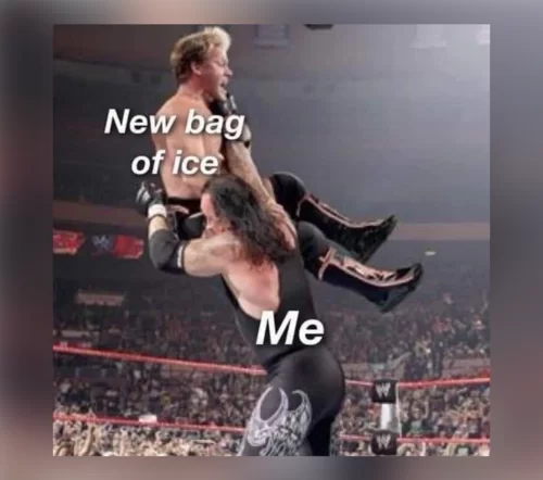 15 Memes to Distract Yourself for a Break from Reality - Chameleon ...