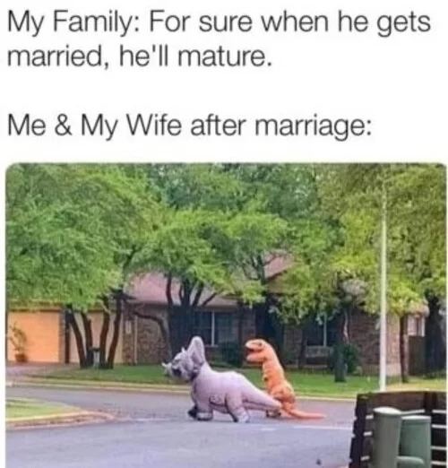30 Married Memes That Unveils The Secrets Of Married Life - Chameleon ...