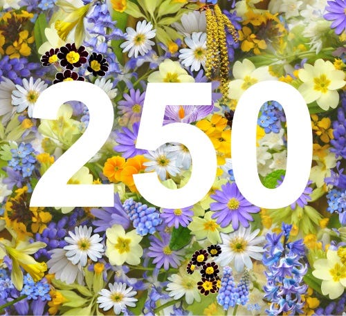 Celebrating 250 Stories. Since October 2021 | by DR Rawson - The ...