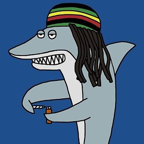 What Happened To Reggae Shark | by Alexander Gadd | Never Stop Writing ...