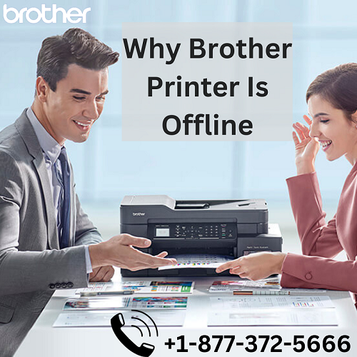 +1–877–372–5666 | Why Brother Printer Is Offline | Brother Printer ...