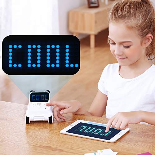 Meet Codey Rocky: Our New Coding Companion | by Hilal Güngör | Code ...