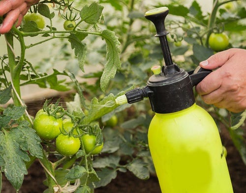 How to make Calcium Spray for Vegetables | by Jennifer Lopez | Jul ...