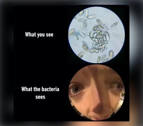 30 Funny Science Memes That Even Einstein Would High-Five Over ...