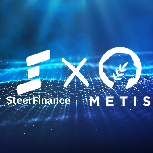 Steer Protocol and MetisDAO: A Synergistic Interaction | by Clement ...