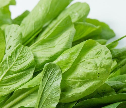 A Organic Defense Against Cancer: The Healing Power of Leafy Vegetables ...