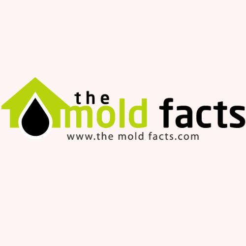 Clearing the Air: Understanding Mold Inspection Reports | by Mold Facts ...