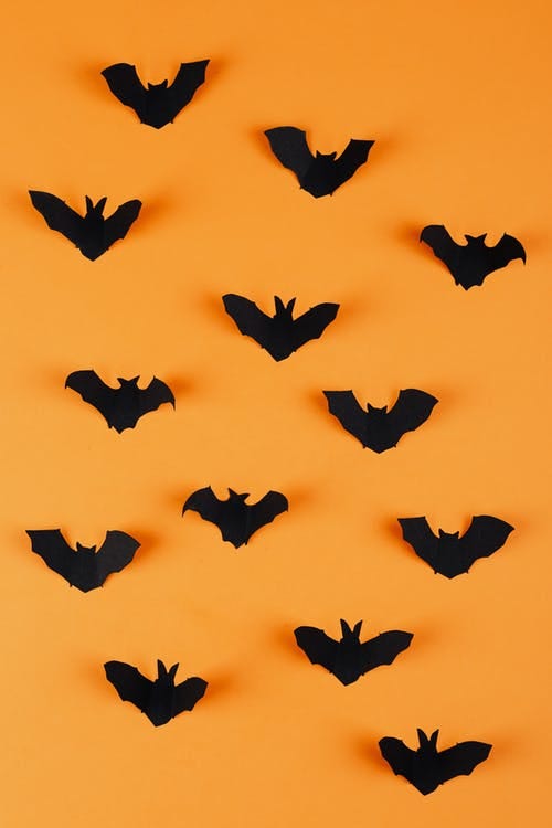 Dear Bruce Wayne/Batman. As much as I know that you have worked… | by ...
