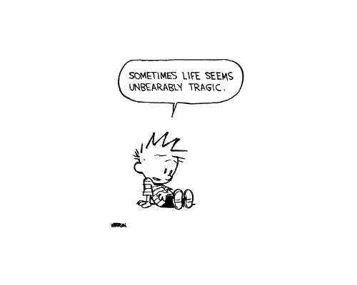 Discussing With Calvin 4 — Why Life is Tragic | by Tommy Delarosbil ...