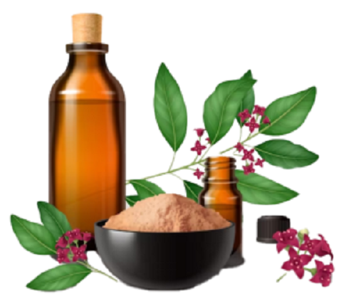 Exploring Homeopathic Stores In New York - A Comprehensive Guide | by ...