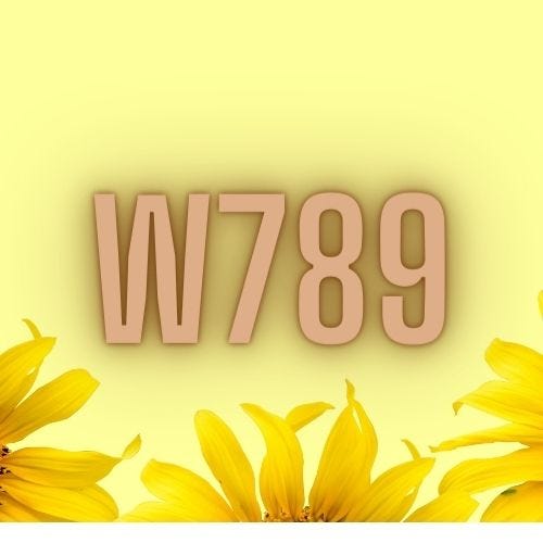 w789 - Seojan - Medium