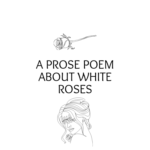 White Roses. A prose poem about white roses | by Brittany Benko | Zen Poetry | Medium