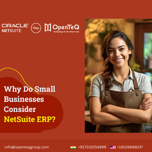 NetSuite: Revolutionizing Business Management | by Srinivas Reddy ...