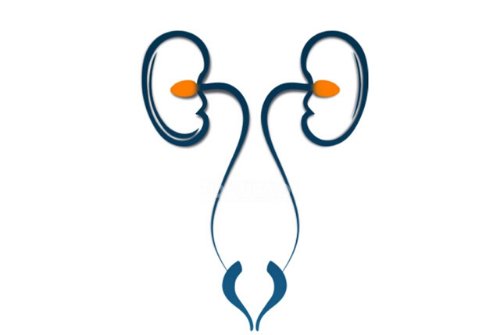 Exploring Common Urological Procedures: Understanding Diagnosis and ...