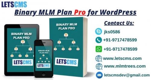 MLM Plan | Binary MLM Pro | Advance Binary MLM Software | by Lets CMS Pvt Ltd | Medium