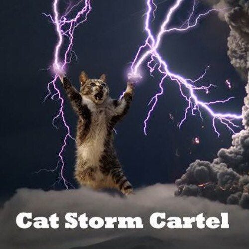 Storm Kitty Reversal by Your friendly Homeless Hacker / Reverser | by ...