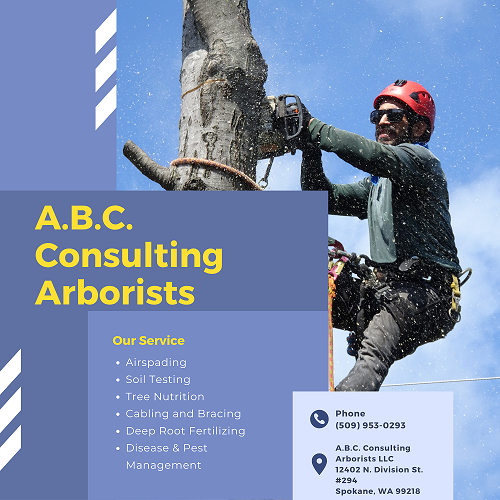 Tree Trimming Spokane. We are continually updating our… | by Smith ...