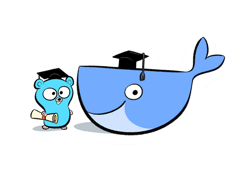 Getting Started With Docker To Do Data Science And Deploy A Shiny App