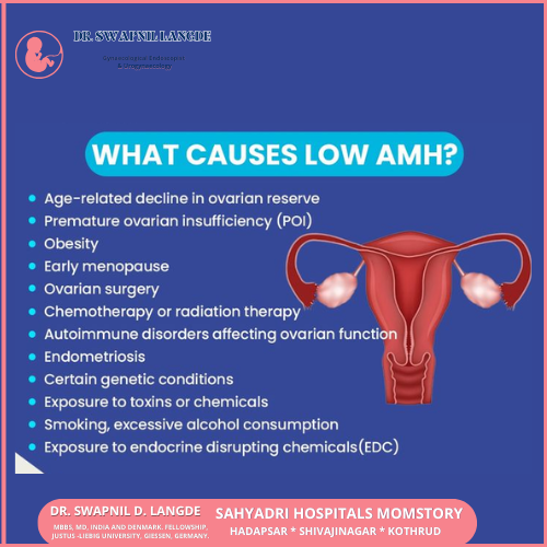 🩺 What Causes Low AMH?. Anti-Müllerian Hormone (AMH) is a… | by Dr ...