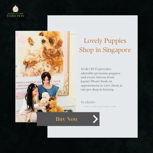 Lovely Puppies Shop in Singapore - Tiarapetssg - Medium
