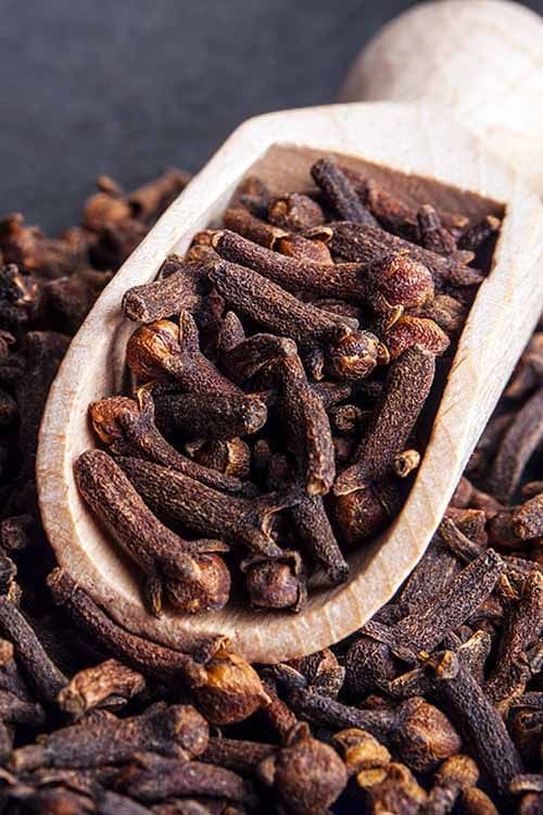 Clove: Health Benefits | by Muhammad Zubair | Oct, 2024 | Medium