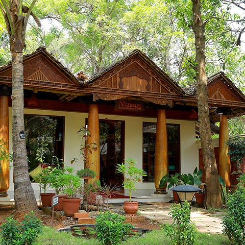 Nattika News Update: Staying Ahead of the Curve in Holistic Wellness ...