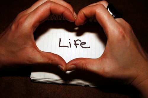 Life served with love: A perfect platter !! | by Reema | Medium