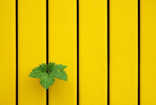 Minimali….. Minimalism is a lifestyle philosophy… | by Thanish Mohamedhu | Medium