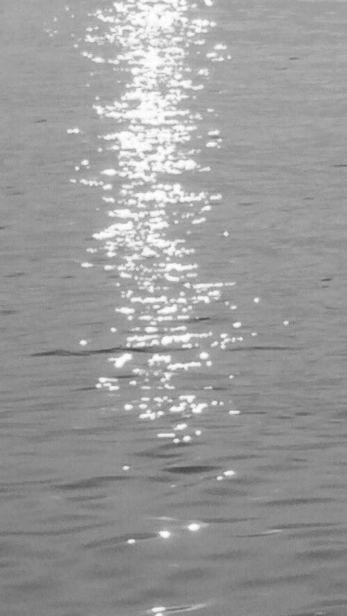 Admiring you from afar. Admiring you from afar, thinking about… | by ...