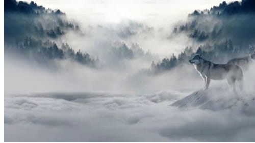 Forsaken to Fortified: How I Found Strength in God’s Process | by ...